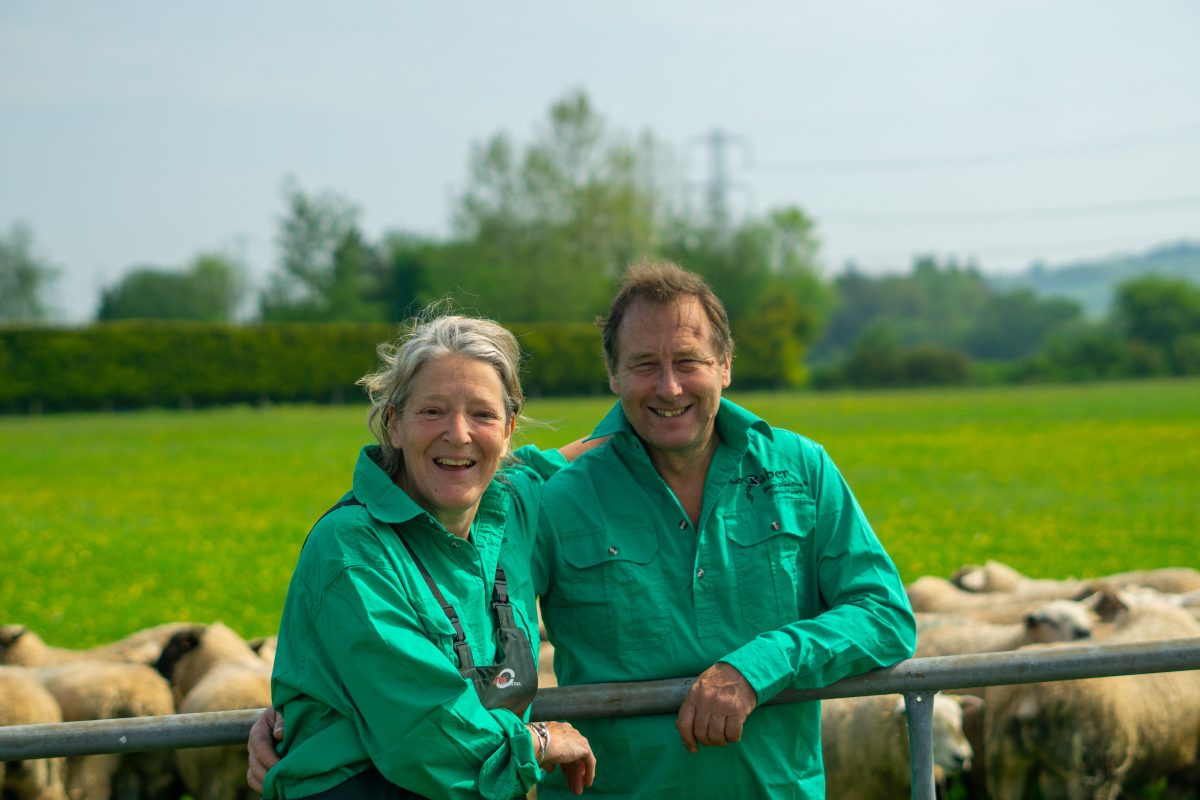 Welcome to Baber Sheep Breeding and Consultancy - Peter Baber, Sheep ...