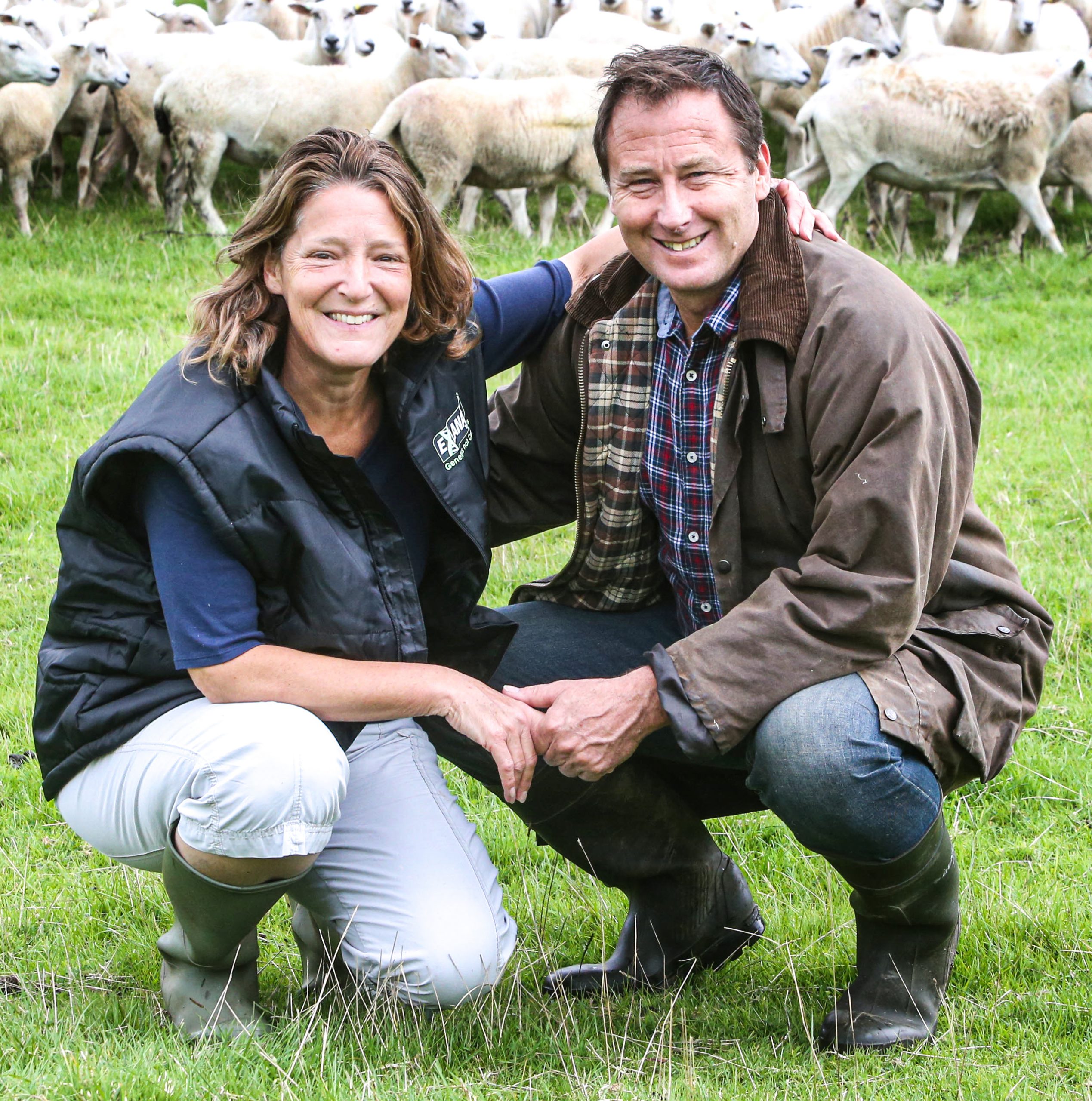 Welcome to Weir Park Farm - Peter Baber, Sheep Breeding & Consultancy