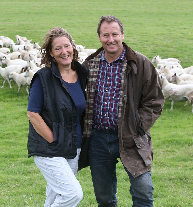 Peter Baber - Sheep Breeding - Exlana - Suffolk - Texel - Friesland ...